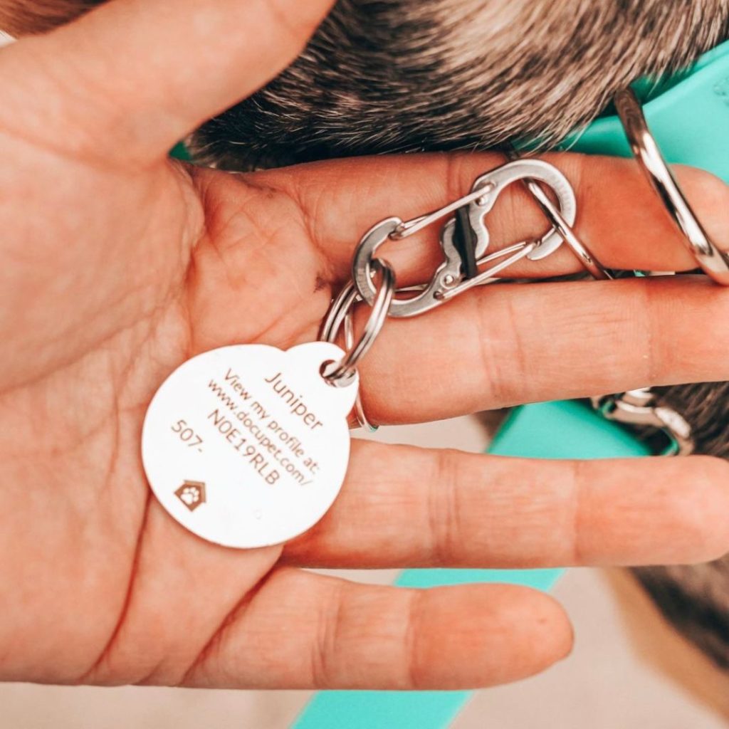 Why Do I Need to License My Pet? | DocuPet