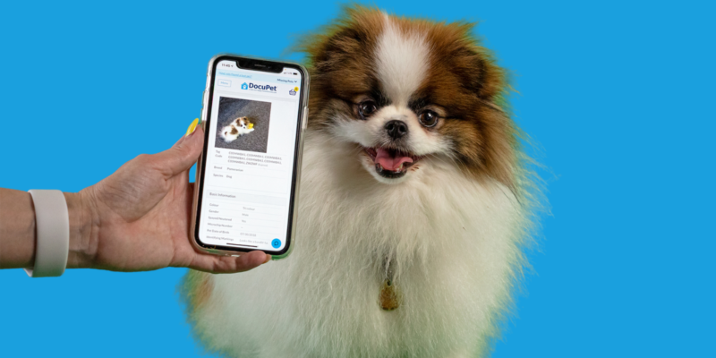 DocuPet – A safe and happy home for every pet