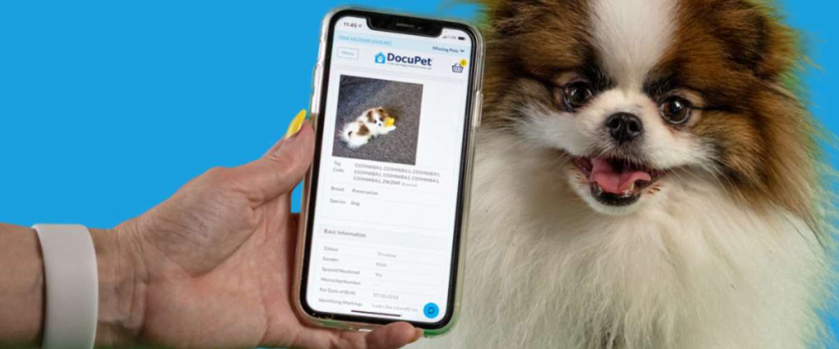 Why Do I Need to License My Pet? | DocuPet
