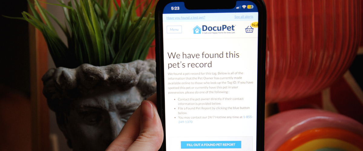 The Important Role Your DocuPet Profile Plays If Your Pet Gets Lost ...