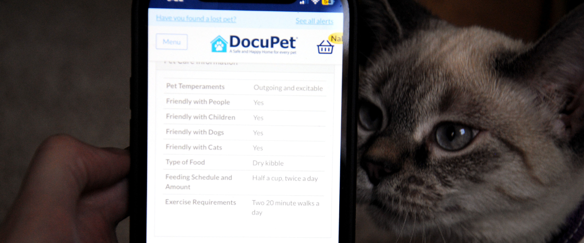 The Important Role Your DocuPet Profile Plays If Your Pet Gets Lost ...