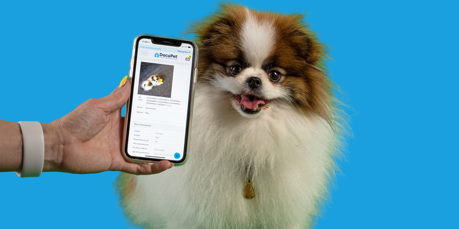 DocuPet – A safe and happy home for every pet