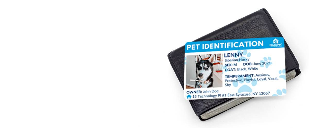 Why You Should Carry a Pet Wallet Safety Card | DocuPet