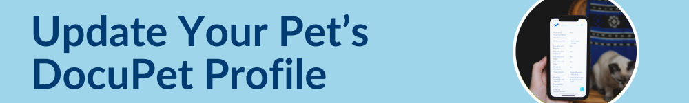 8 New Year’s Resolutions to Become The Best Pet Parent | DocuPet