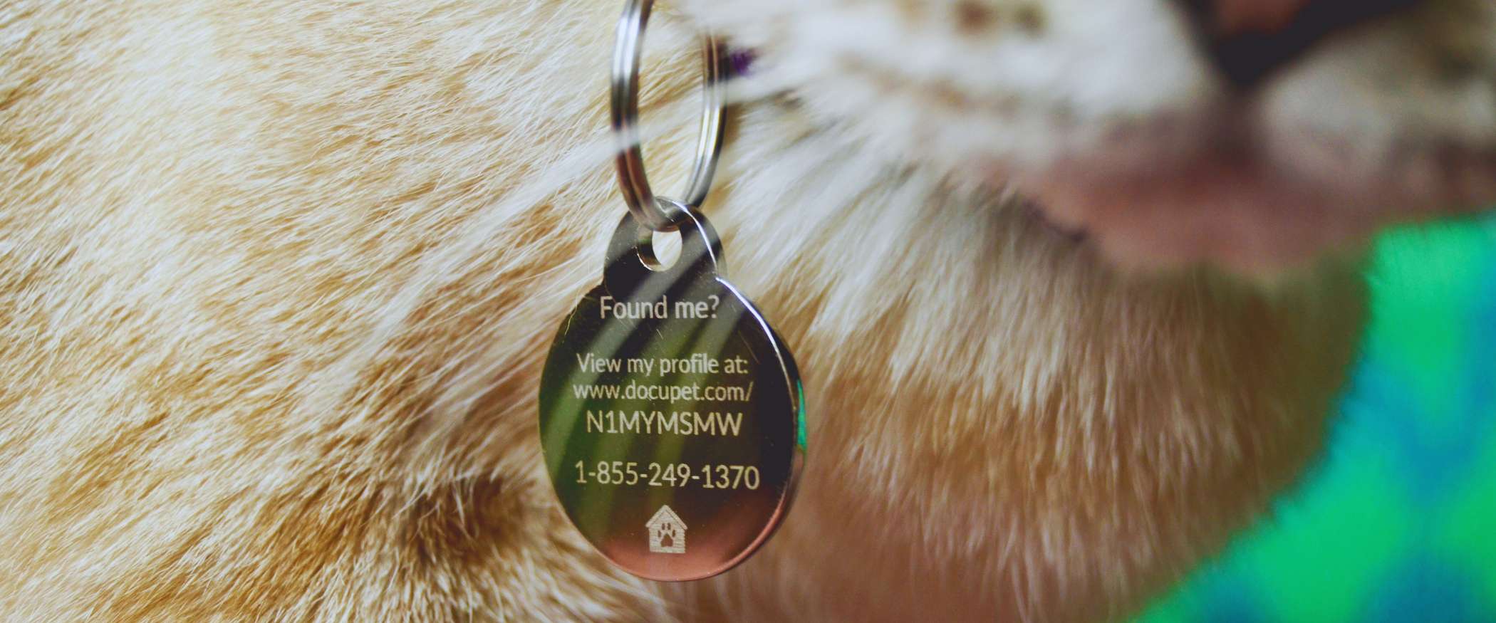 How A DocuPet Tag Keeps Your Pet Safe and Found | DocuPet